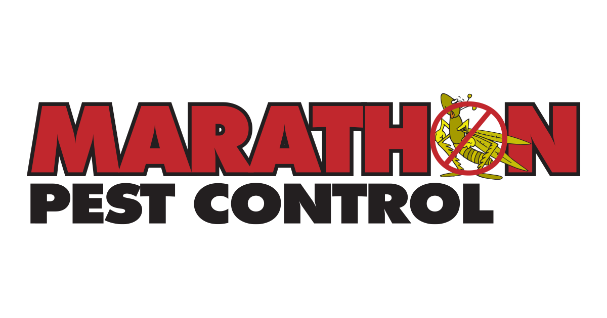 Wausau Pest Control - Bed Bugs, Termites, Mosquitoes & More!