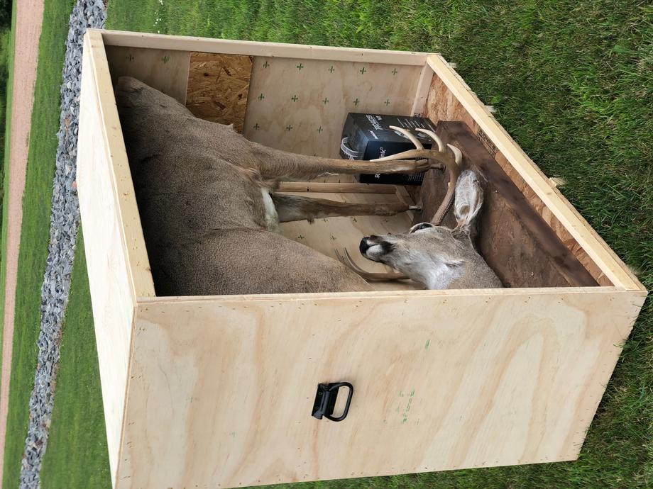 Custom storage crate