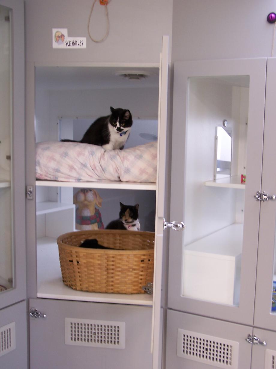Cat Condos Red Woof Pest Resort